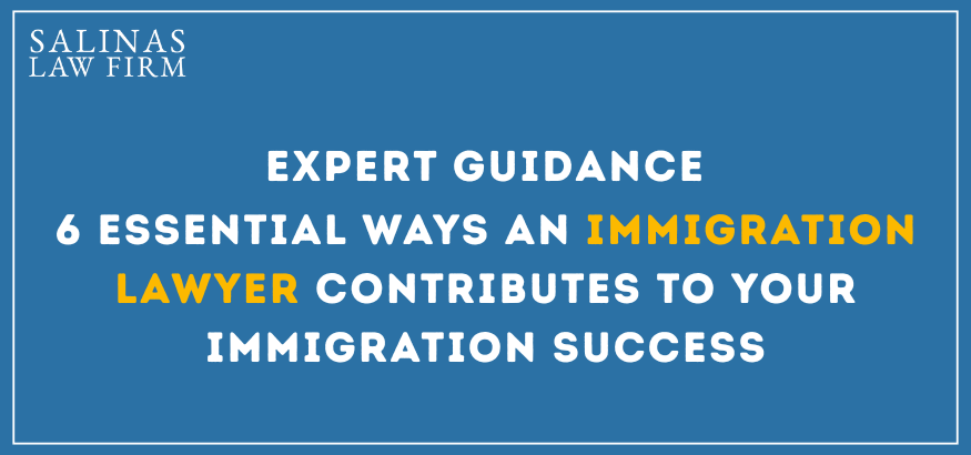 6 Key Ways Houston Immigration Lawyers Ensure Immigration Success